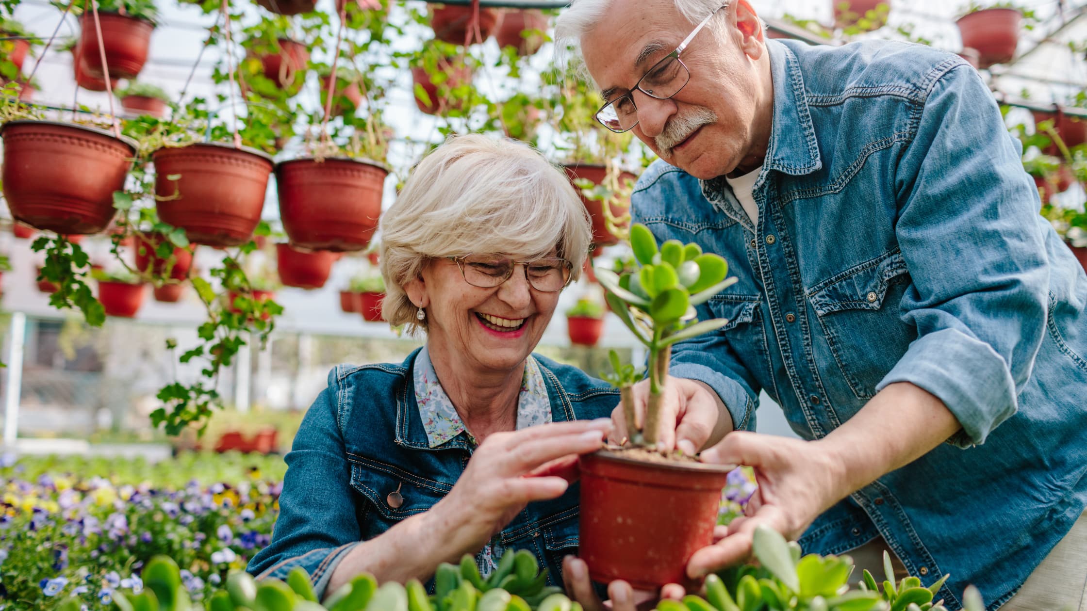 Cognitive Benefits of Gardening for Seniors: Growing More Than Just ...